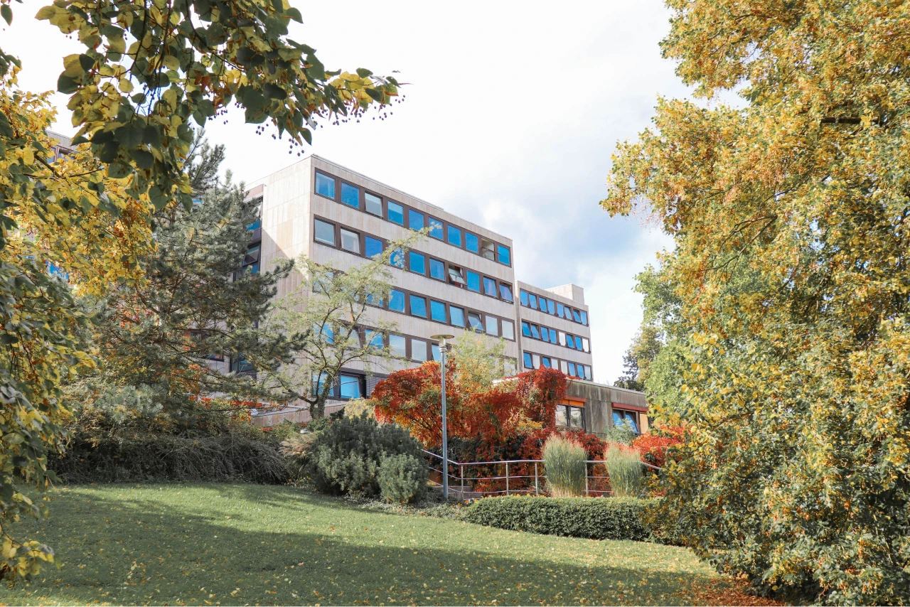 Manisch-Depressive Störungen – Verstehen & Behandeln